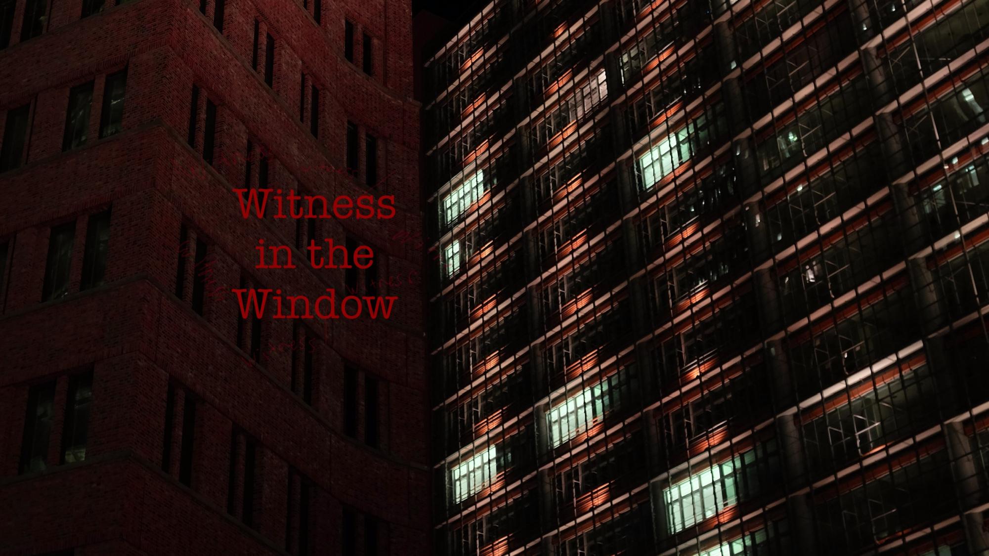 Witness in the Window – TMS PRESS